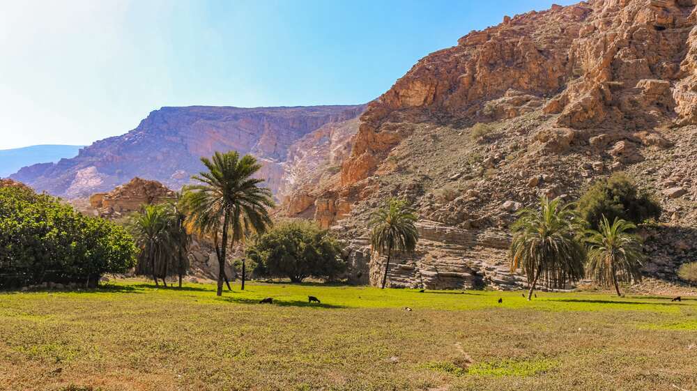 Top Hiking Trails in Jebel Jais: Routes, Difficulty & What to Expect